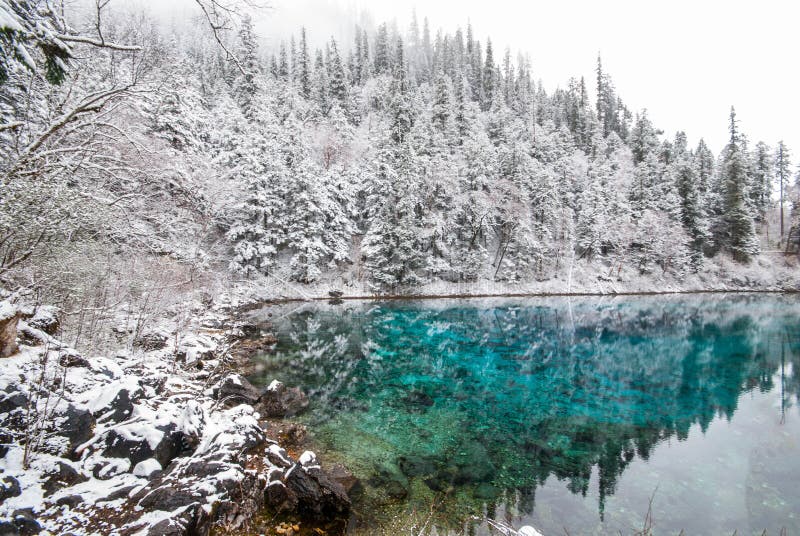 Five Color Pond at Jiuzhaigou, Sichuan, China. Stock Photo - Image of ...