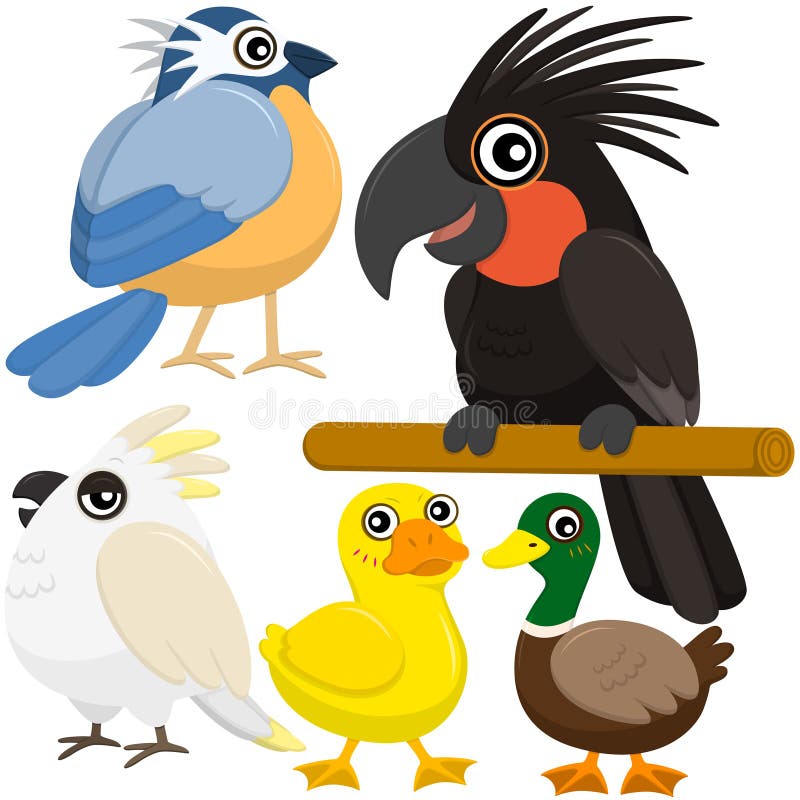 Colorful Cute Birds, Vector Stock Vector - Illustration of blue, brown ...