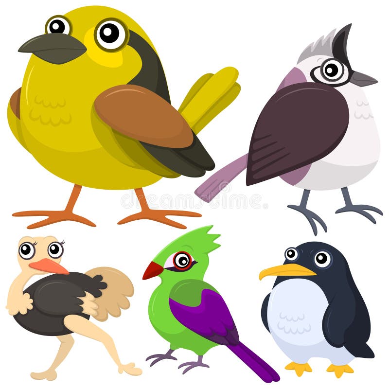 Five colorful cute birds stock vector. Illustration of baby - 34217482