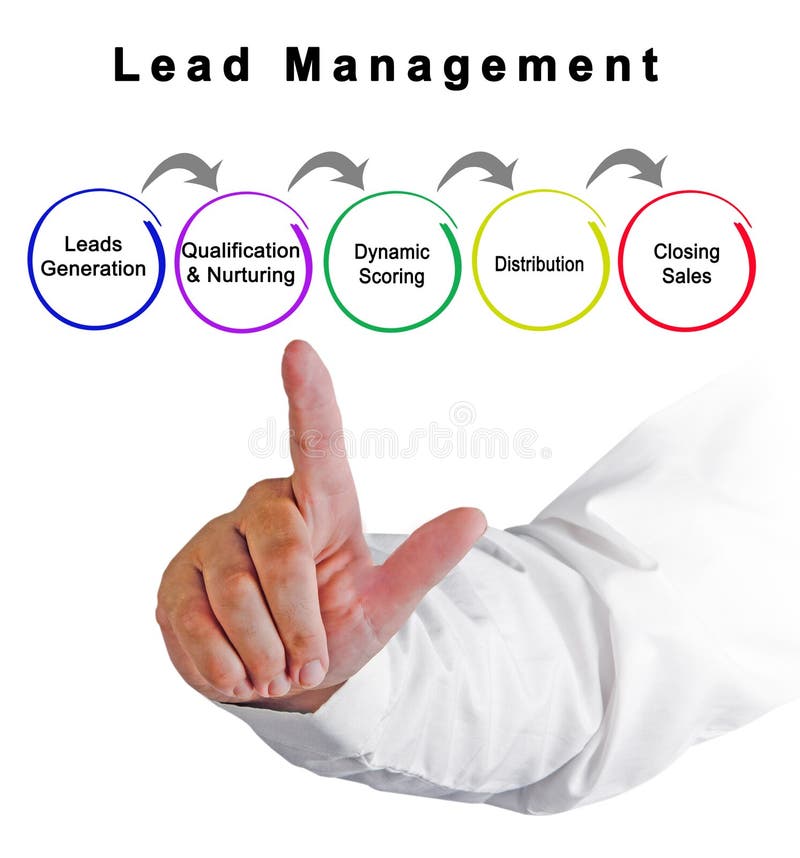 Components of Lead Management Stock Photo - Image of manager, sales ...