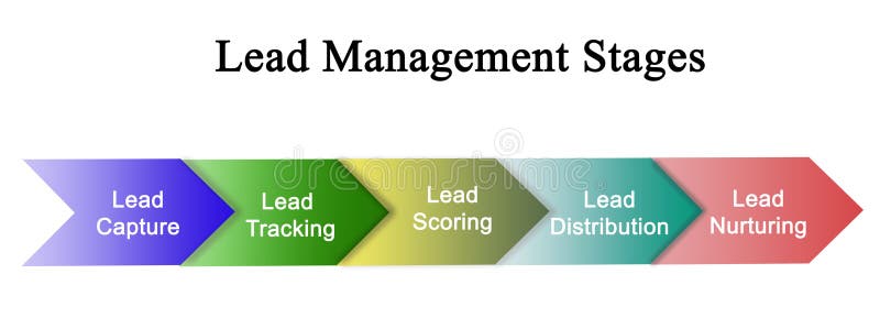 Components of Lead Management Stock Illustration - Illustration of ...