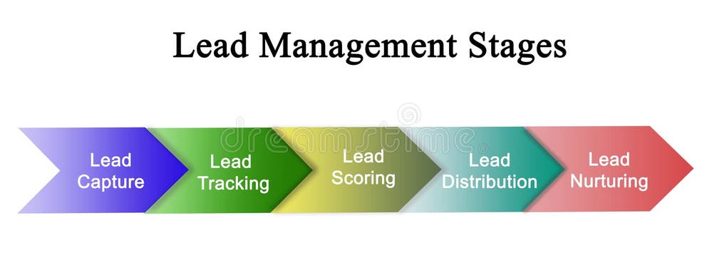 Components of Lead Management Stock Illustration - Illustration of ...