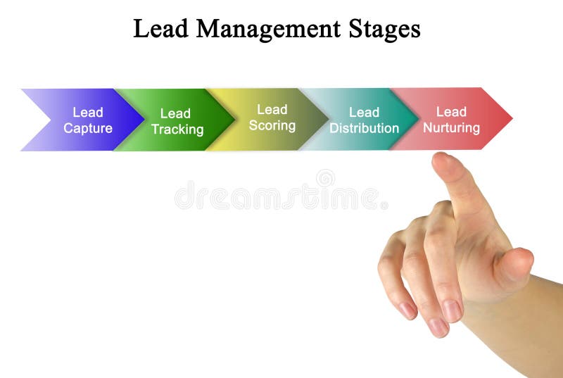 Components of Lead Management Stock Image - Image of scoring, capture ...