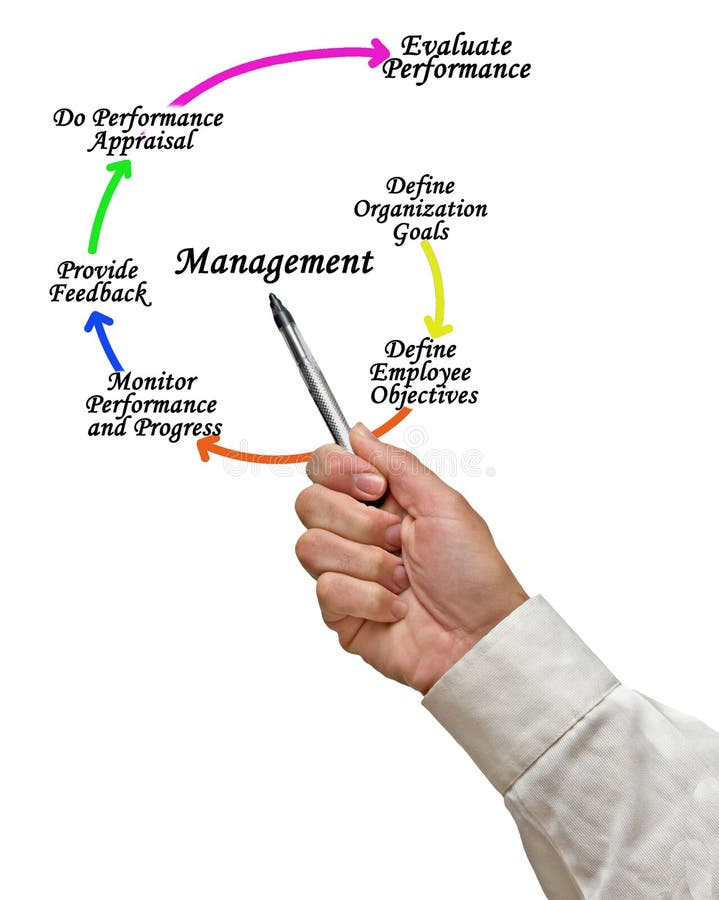 Components of Management Process Stock Image - Image of concept, hand: 385573099