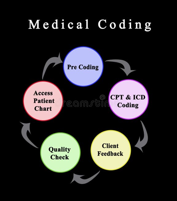 Medical Coding Picture Stock Illustrations – 4,612 Medical Coding ...