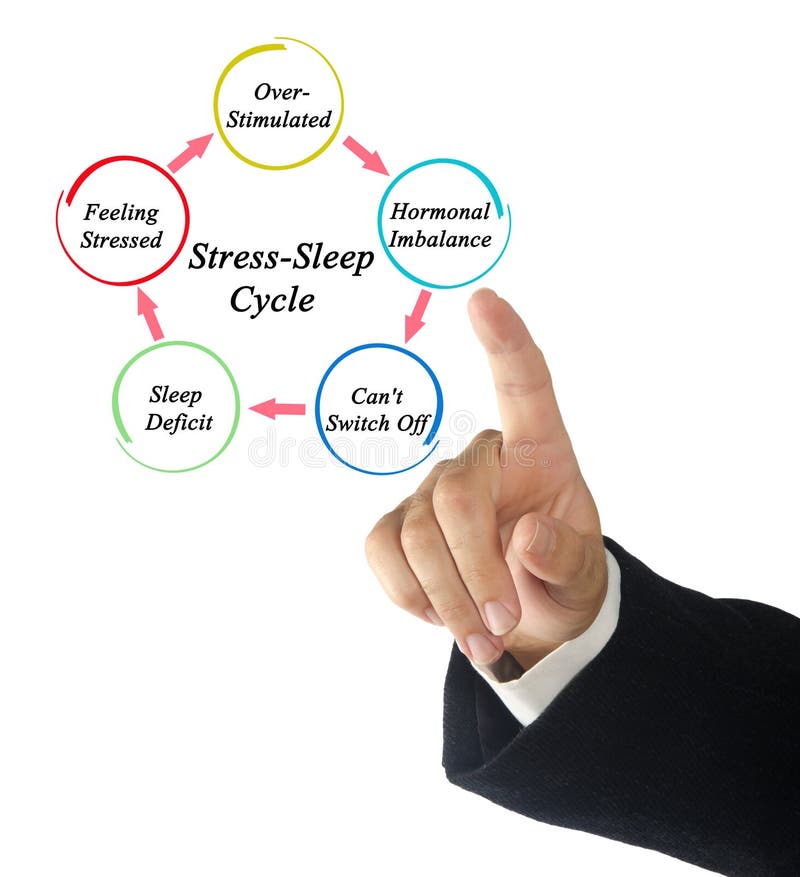 Sleep Cycle Stages stock photo. Image of researcher - 102727386 Sleep Cycle Stages stock photo. Image of researcher - 102727386