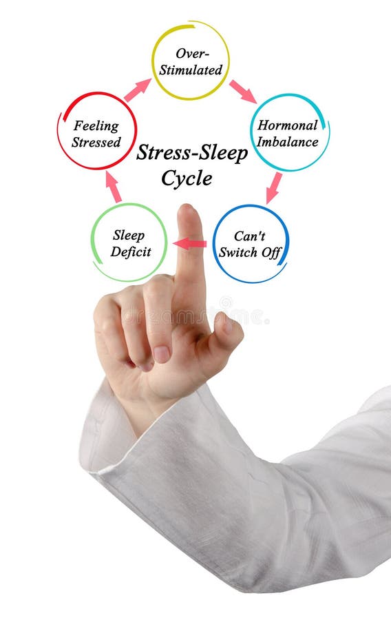 Components of Stress-Sleep Cycle Stock Image - Image of science ...