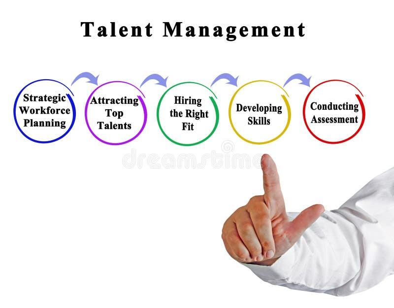 Components of Talent Management Stock Image - Image of developing ...