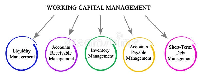 3505 Stock Illustrations – 11 3505 Stock Illustrations, Vectors ...