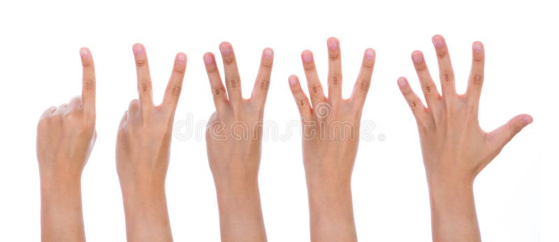 Set of Counting Female Hand Sign Isolated Stock Image - Image of ...
