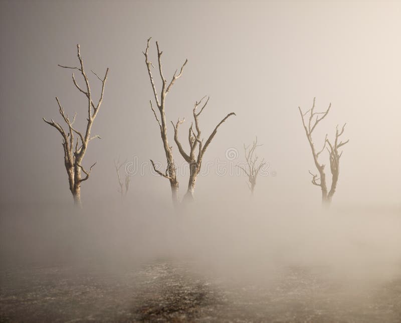 Five Dead Trees in Mist on Forest Ground. Stock Photo - Image of arid ...