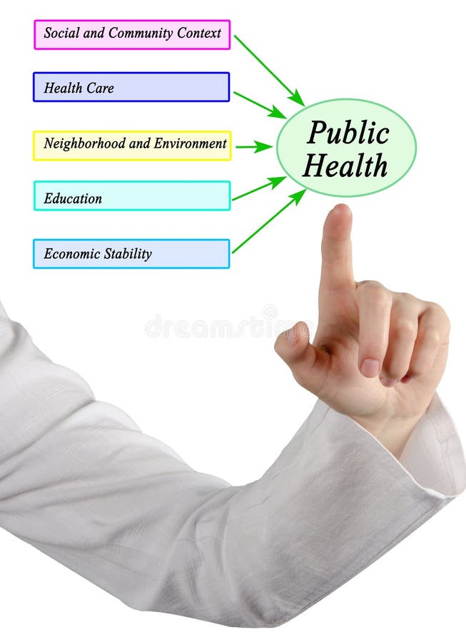 Drivers of Public Health stock image. Image of stability - 338205551