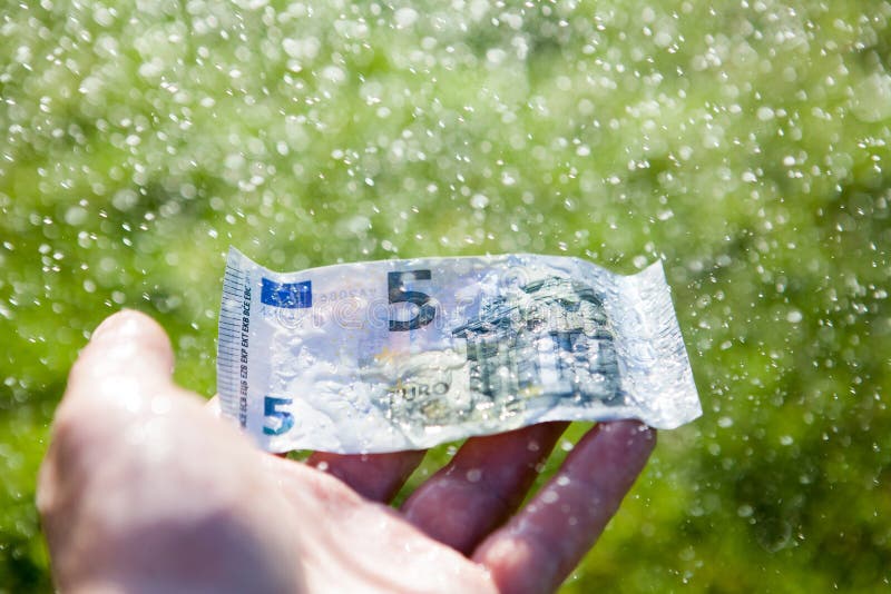 Five euros in a rain stock image. Image of home, grass - 55867115