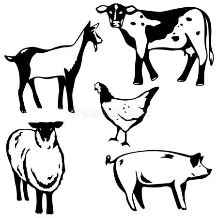 Five farm animals stock vector. Illustration of animal - 4034221