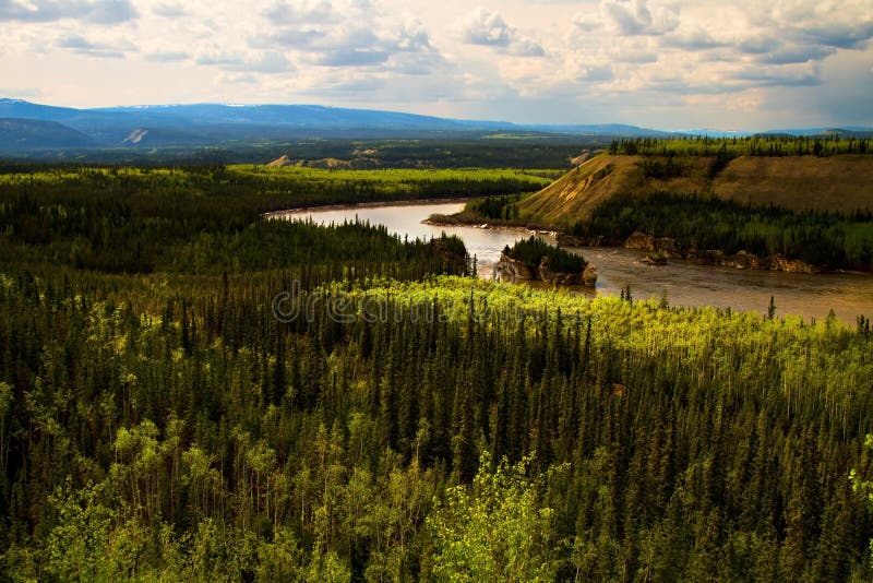 Five Finger Rapids, Yukon, Canada Stock Image - Image of gold ...