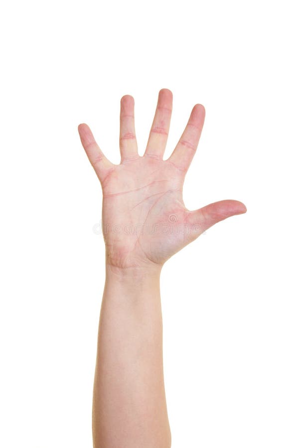 Five fingers stock photo. Image of quintet, count, hand - 12447856