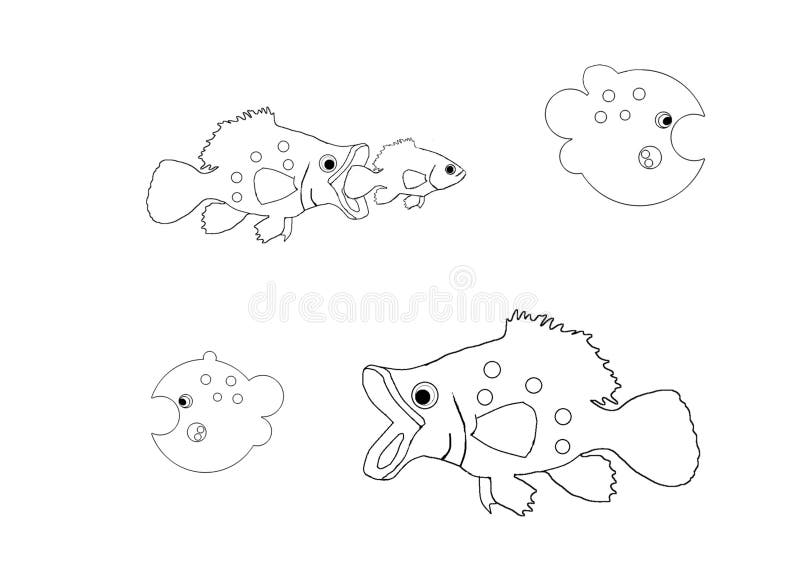 Five Fish, Colouring Book Page Uncolored Stock Photo - Image of fish ...