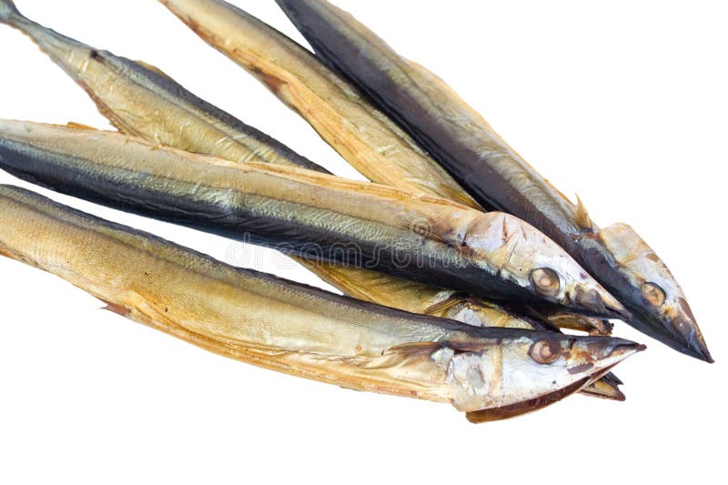 Five koi fish in pond stock image. Image of five, animal - 48456725