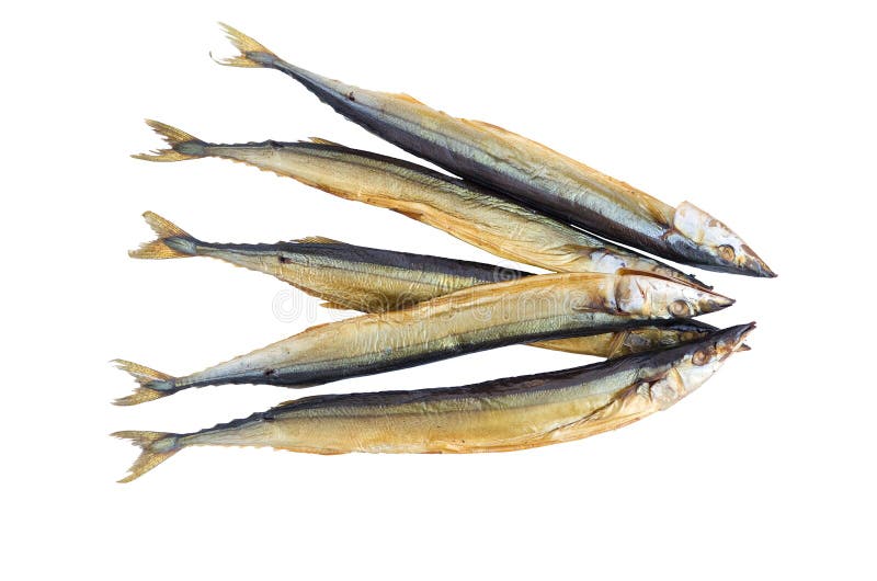 Five koi fish in pond stock image. Image of five, animal - 48456725