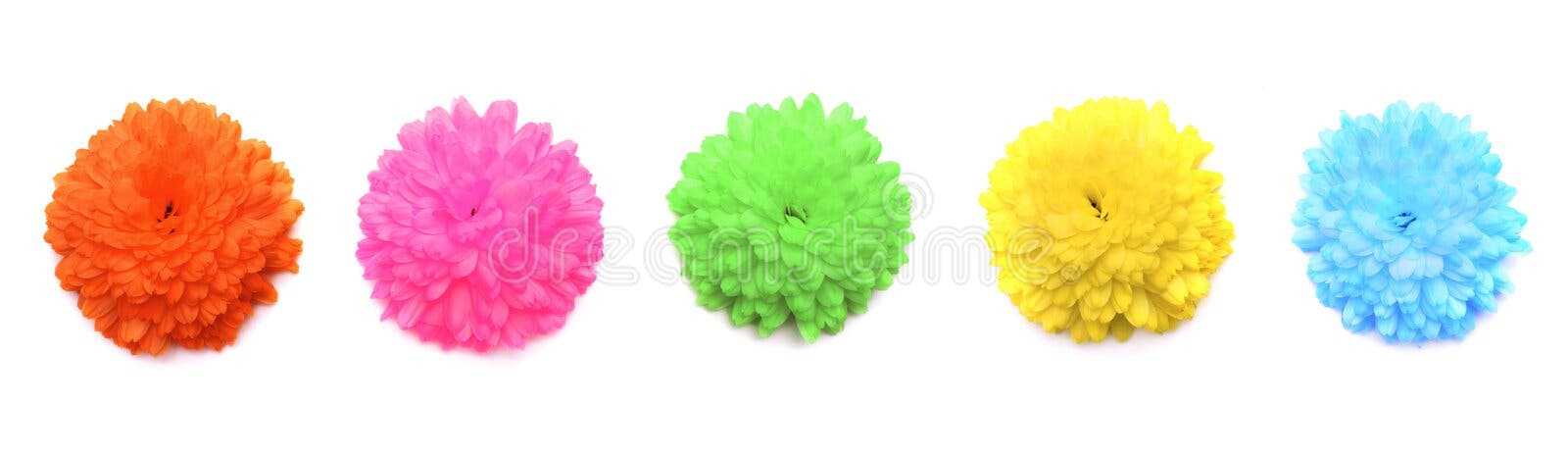 Hawaiian Lei stock image. Image of vivid, vibrant, welcome - 3164871