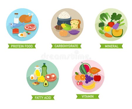 Five food group stock vector. Illustration of info, orange - 285572758