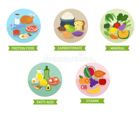 Five food group stock vector. Illustration of info, orange - 285572758