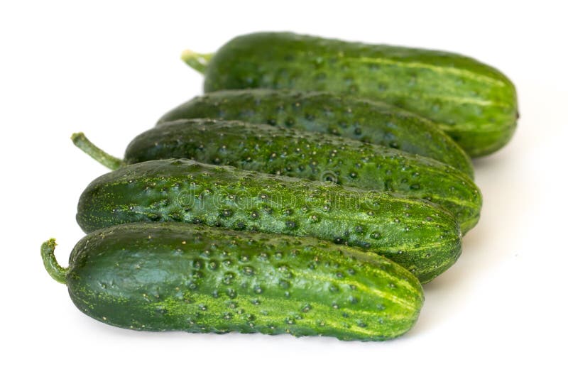 176 Five Fresh Cucumbers Stock Photos - Free & Royalty-Free Stock ...