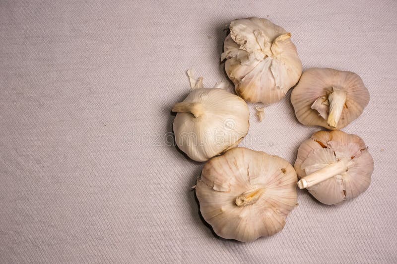 Five Garlic Cloves in a Row Stock Photo - Image of ingredient, line ...
