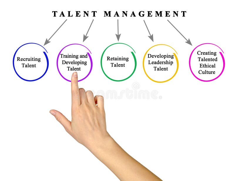 Goals of talent management stock photo. Image of talent - 282114986