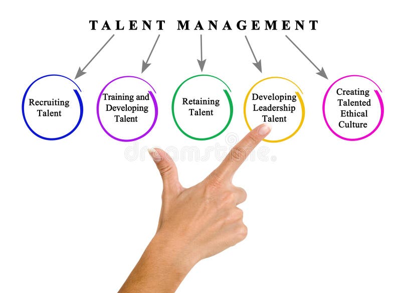 Goals of talent management stock photo. Image of pointing - 282114998