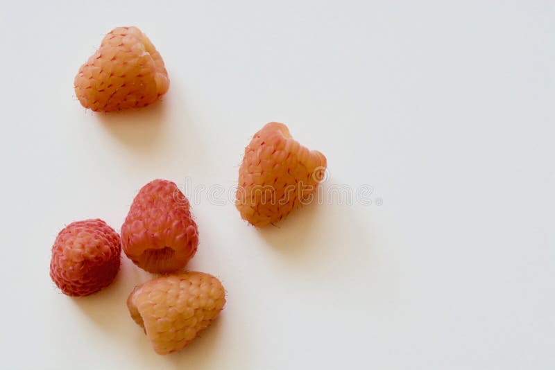 Five gold raspberries stock photo. Image of organic, raspberries - 94532398