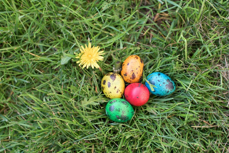 Five Hidden in the Grass Easter Eggs, Which are Painted in Different ...