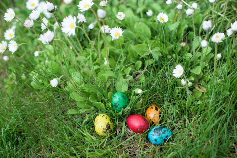 Five Hidden in the Grass Easter Eggs, Which are Painted in Different ...