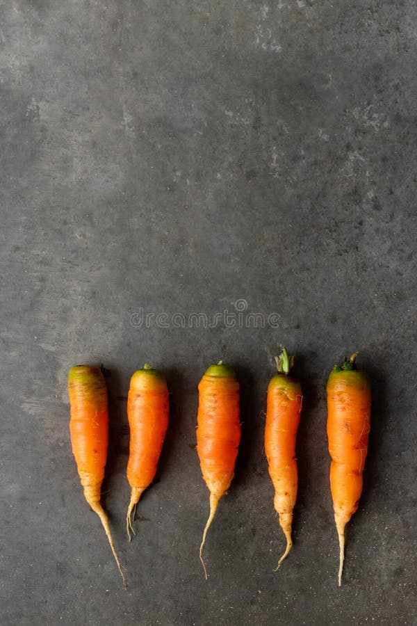 Five Homegrown Carrots on Chalkboard Stock Photo - Image of restaurant ...