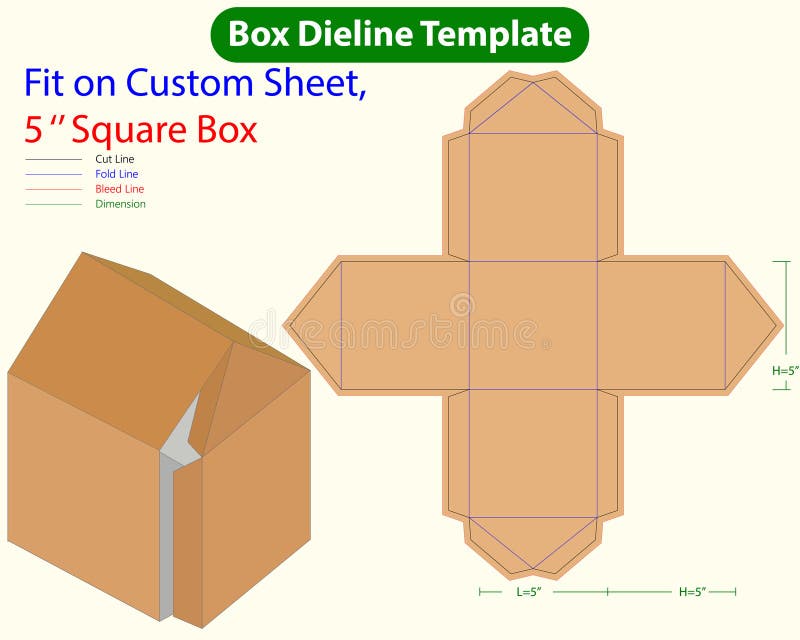 Five Inch Square Cosmetics Storage Box Dieline Template Stock Vector ...