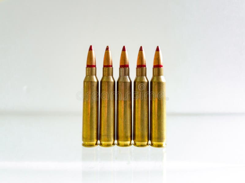 Ten Bullets, Five .38 Special Full Metal Jacket and Five .357 Magnum ...