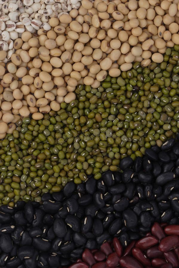 Five kinds of grain. stock photo. Image of soybean, protein - 26195804