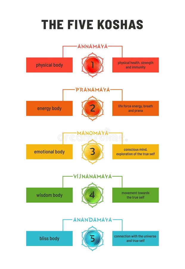 The Five Koshas Visual Infographic Stock Vector - Illustration of ...