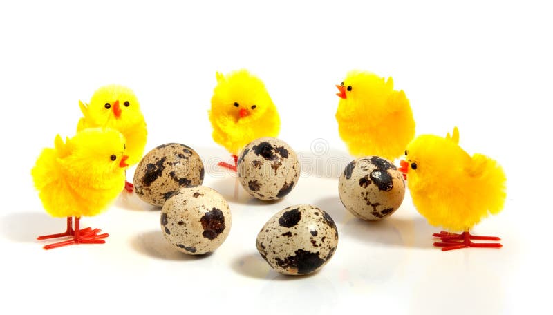 Five Little Yellow Chicks and Eggs Stock Photo - Image of chicks, eggs ...