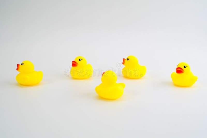 Five Mini Yellow Rubber Ducks in a Random Placed Group. Getting Stock ...