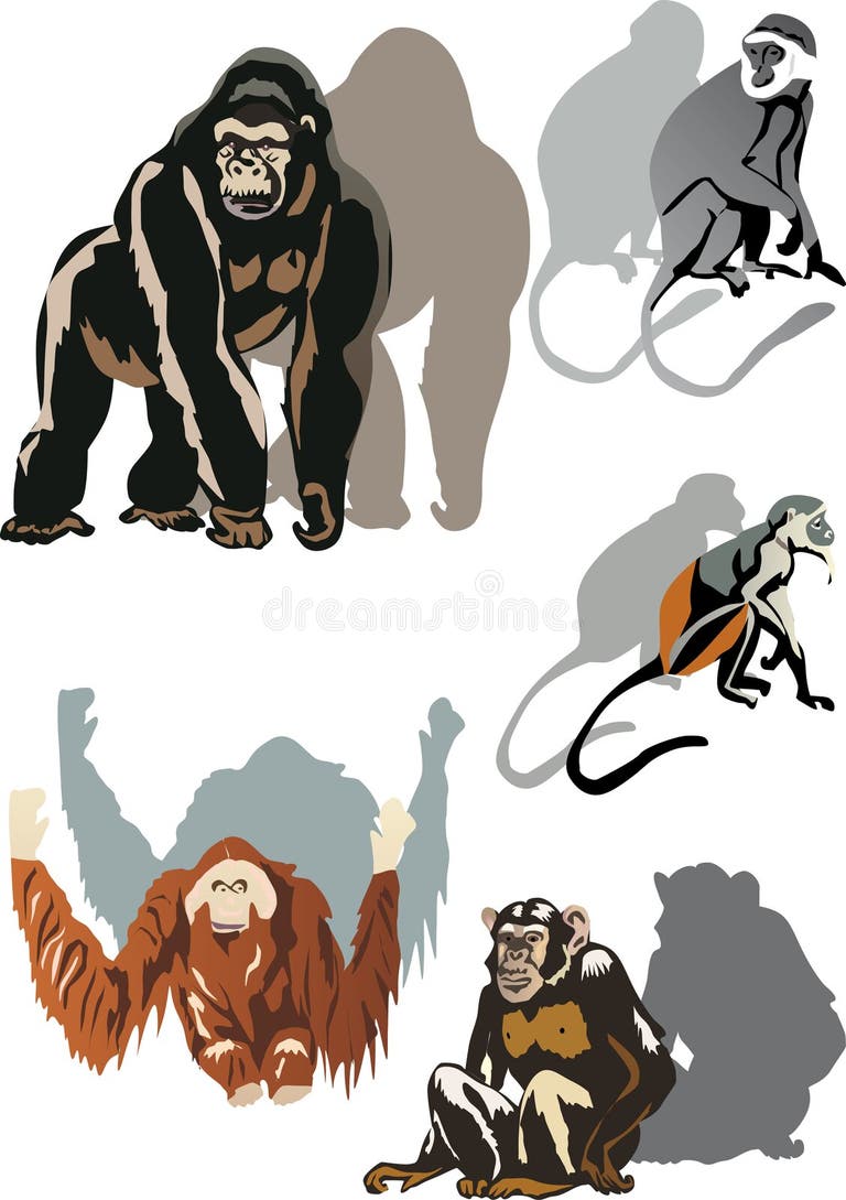 Group Monkeys Stock Illustrations – 1,358 Group Monkeys Stock ...