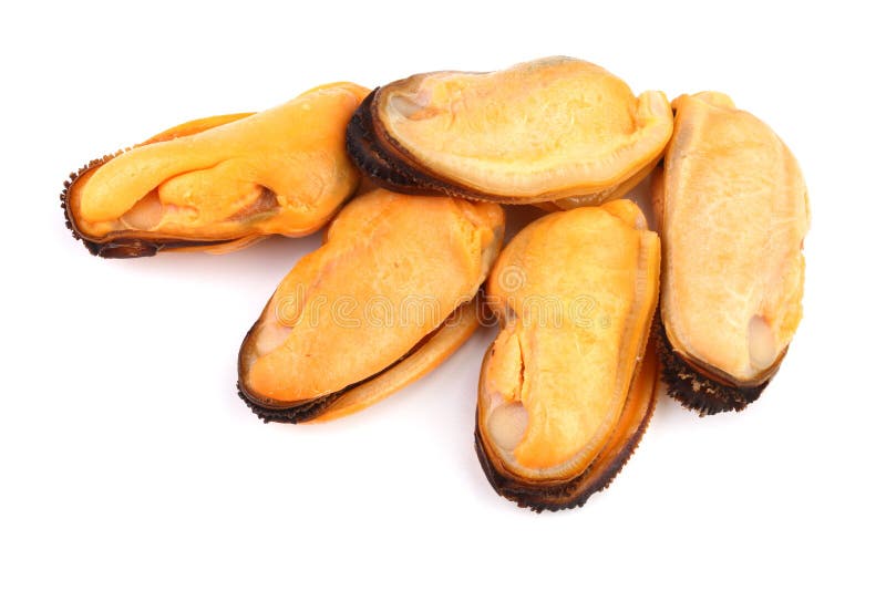 Five Mussel without Shell Isolated on White Background Stock Image ...