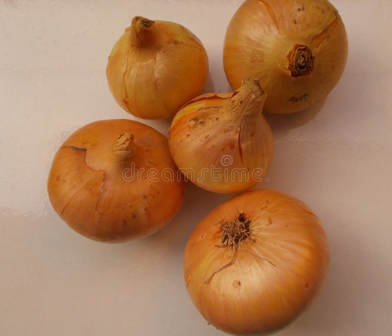 Five red onions stock image. Image of shadow, vegetable - 24687983