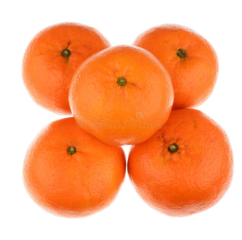 Five Oranges Isolated on White Stock Photo - Image of healthy, hamlin ...