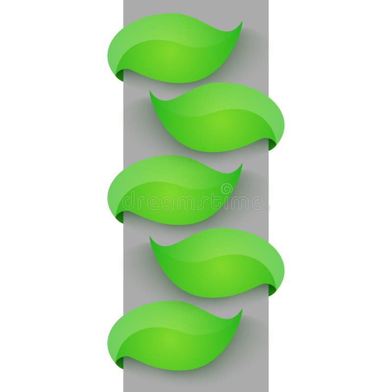Five Green Leaf Illustration on the White Background Stock Vector ...