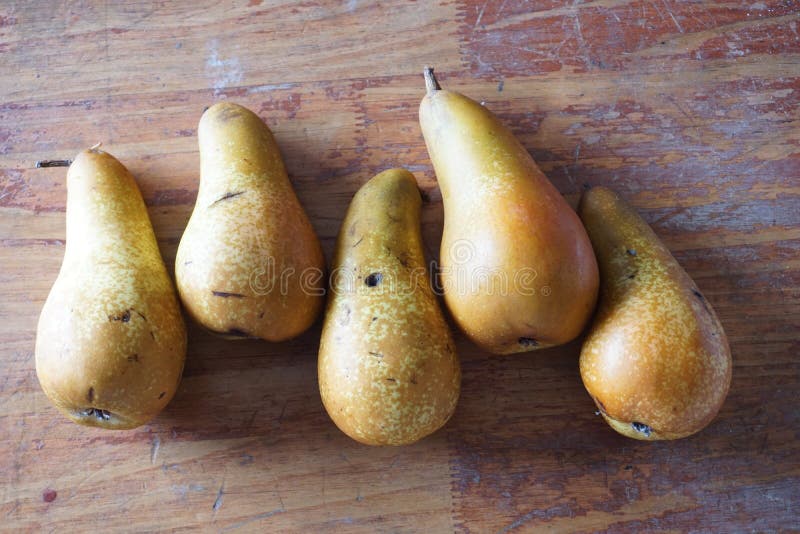 413 Five Pears Photos - Free & Royalty-Free Stock Photos from Dreamstime