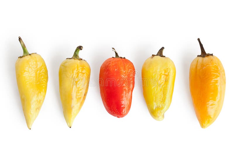 Overripe Orange Wrinkles Stock Photos - Free & Royalty-Free Stock ...