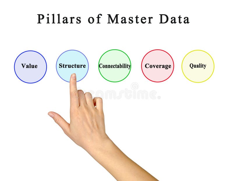 Pillars of Master Data stock image. Image of woman, developer - 217276031