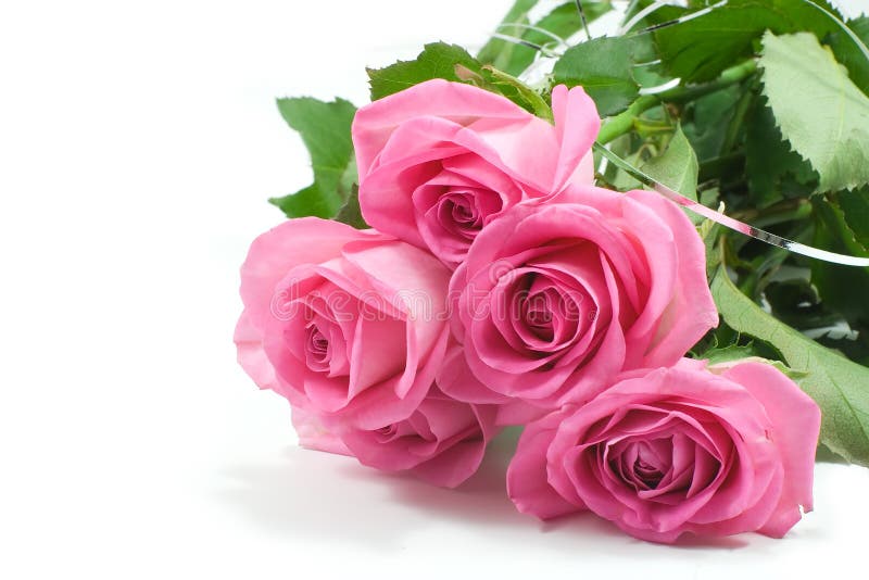 Red roses bouquet stock image. Image of bloom, cheer, petal - 513581