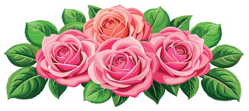Five Pink Roses Forming an Horizontal Floral Arrangement Stock Vector ...
